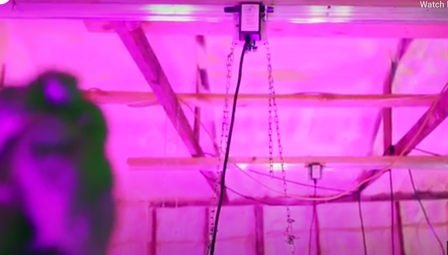 VIDEO: Do LightRail Light Movers Work with LED Grow Lights? - LightRail ...